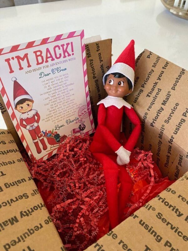 37 Elf on the Shelf Ideas to Spark Christmas Joy - Inspired Beauty